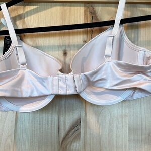 Maidenform | Intimates & Sleepwear | Nwt Maidenform Push Up Plush ...